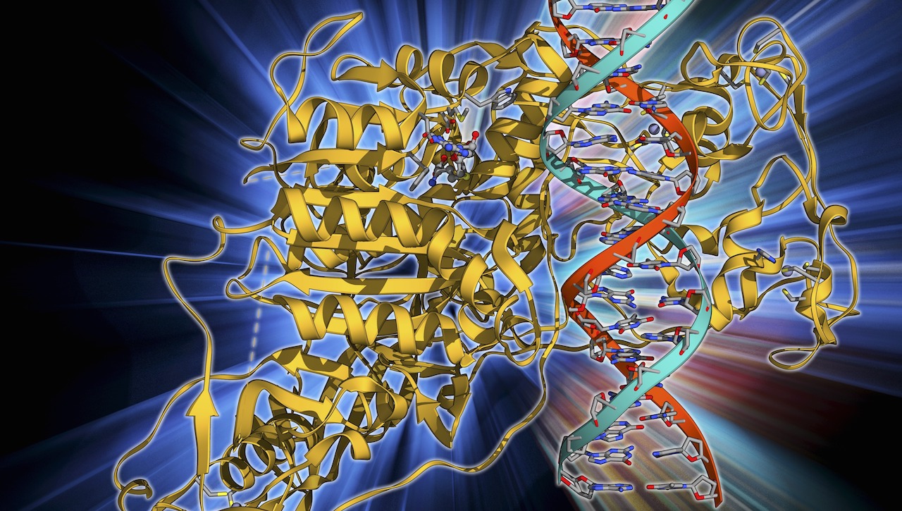 Steve Doonan - Graduate Student - University of Michigan | LinkedIn