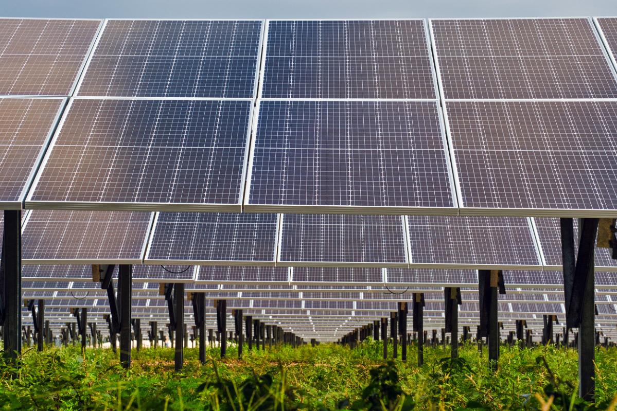 Patrick Whitehead - Assistant Director, Energy Market Enablement ...